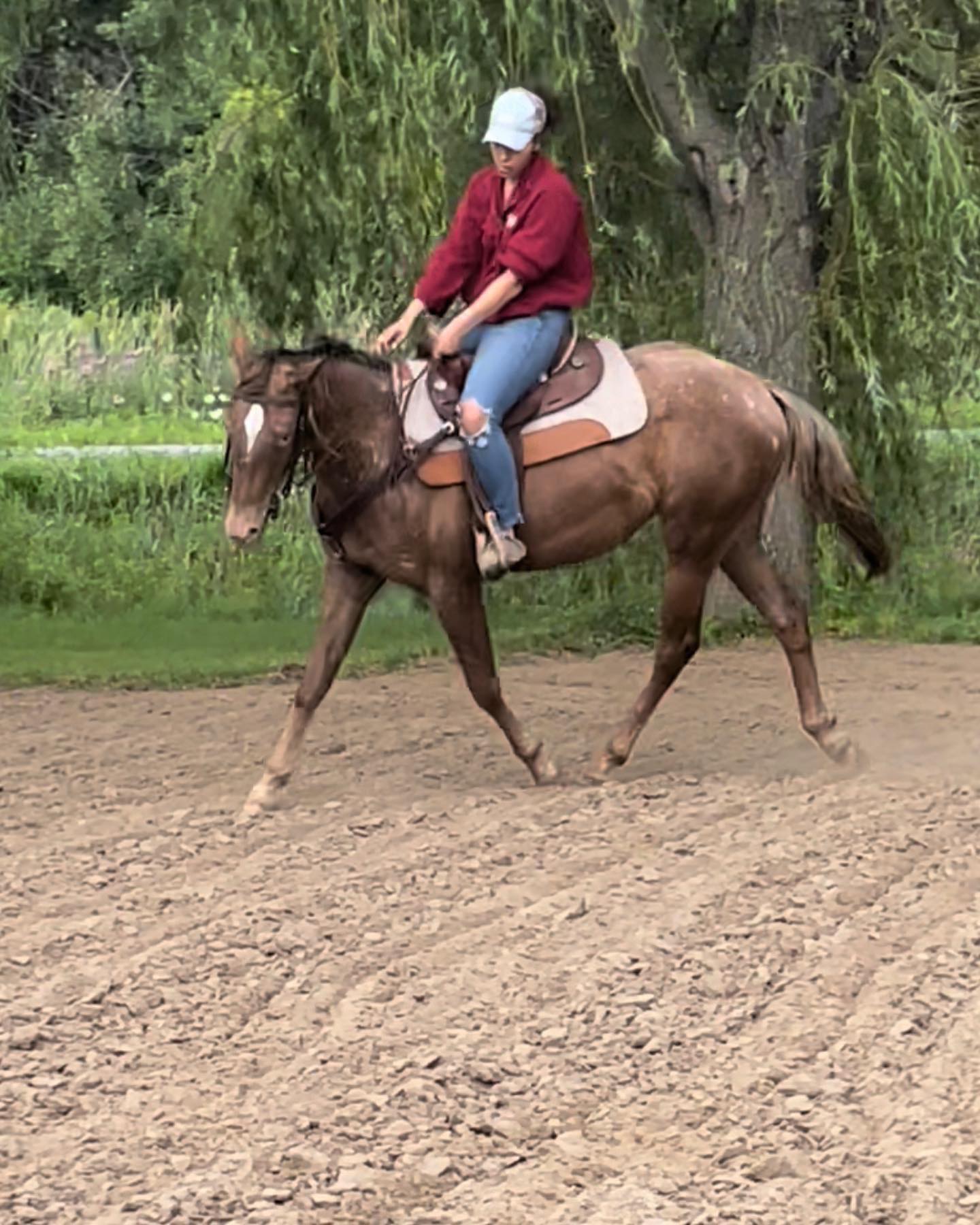 Mighty Bright Sprite