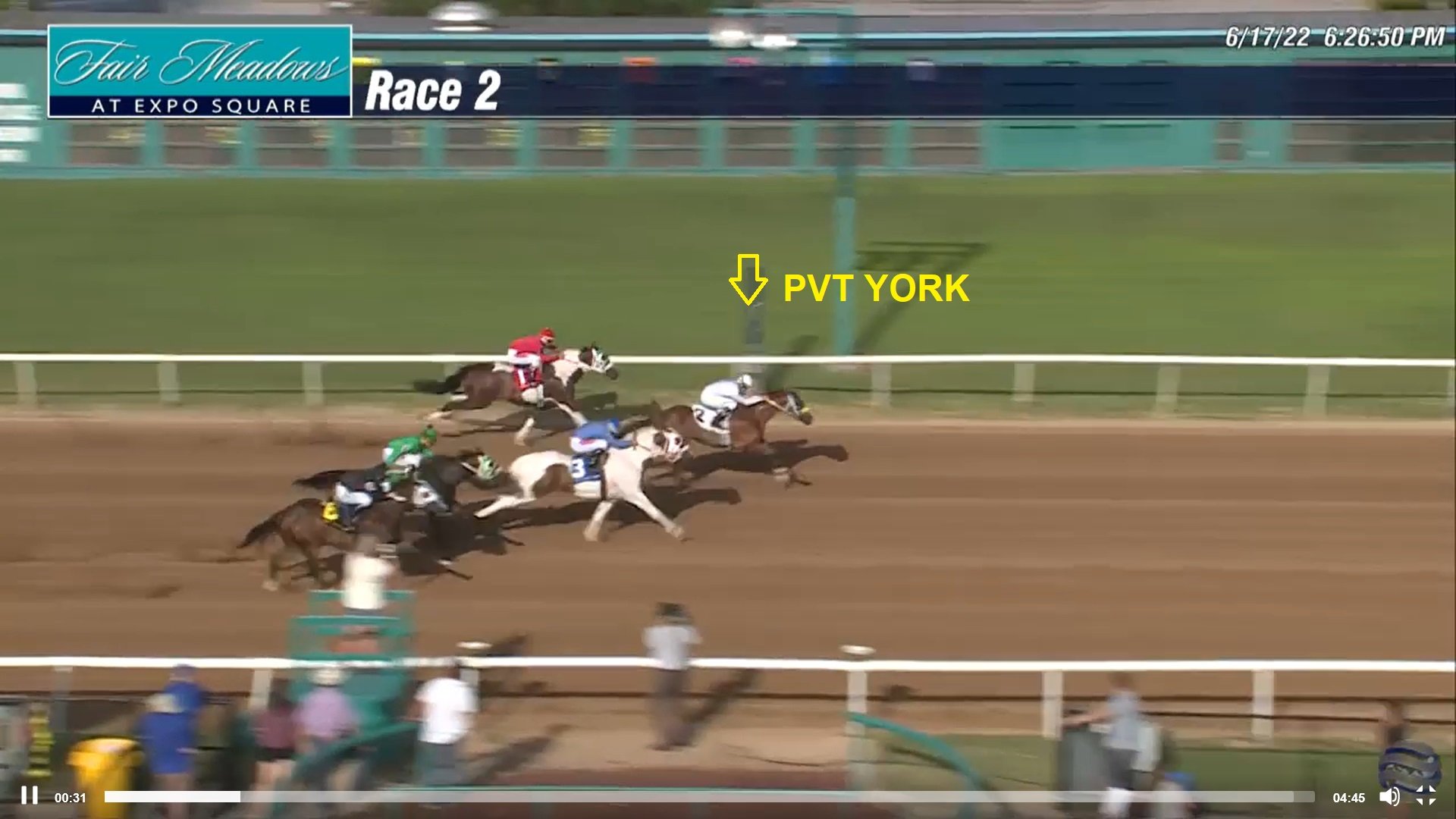 IVORY KING – Champion Race Stallion. Sire of Race Champions, 1D Barrel ...