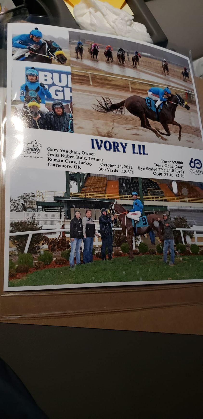 IVORY KING – Champion Race Stallion. Sire of Race Champions, 1D Barrel ...